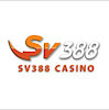 sv388goldtop