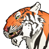 GrinningTiger